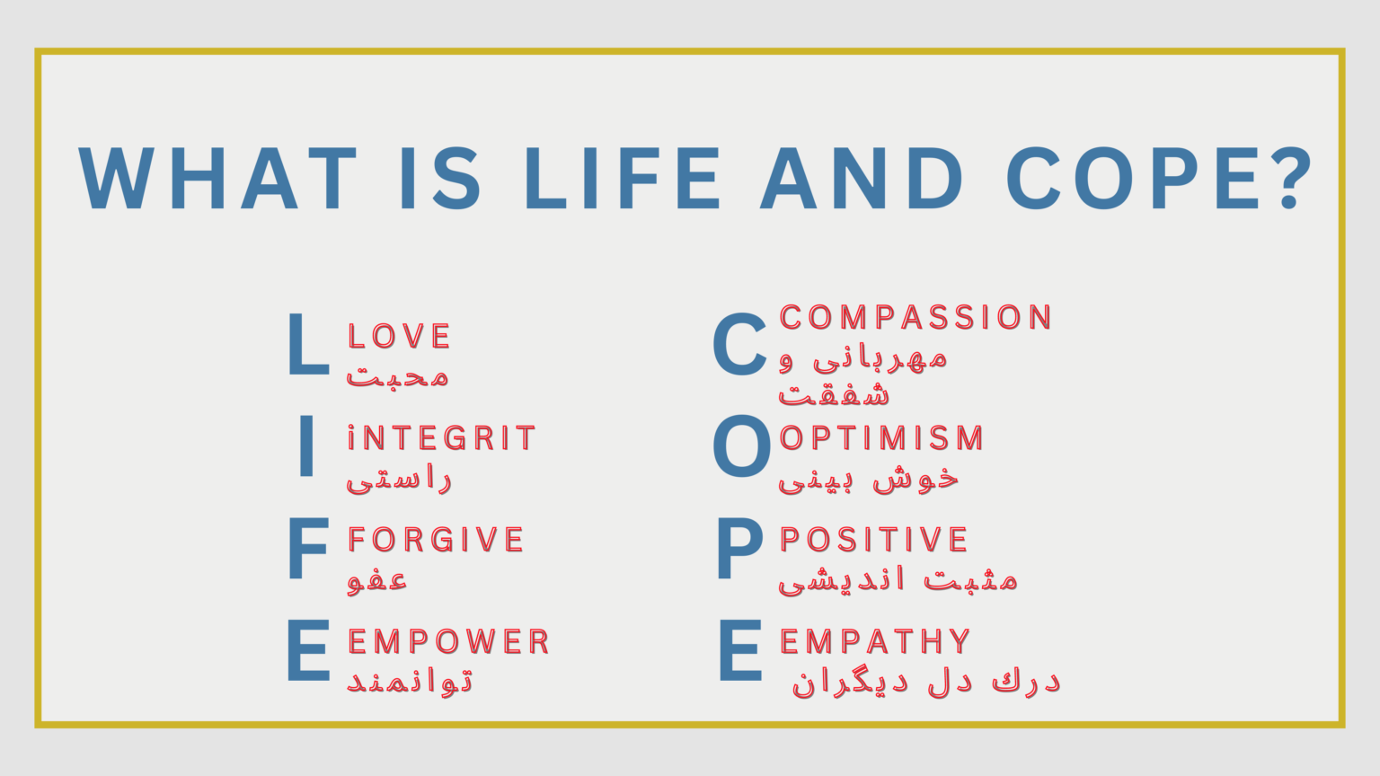 Life and Cope | Afghan-American Women's Association